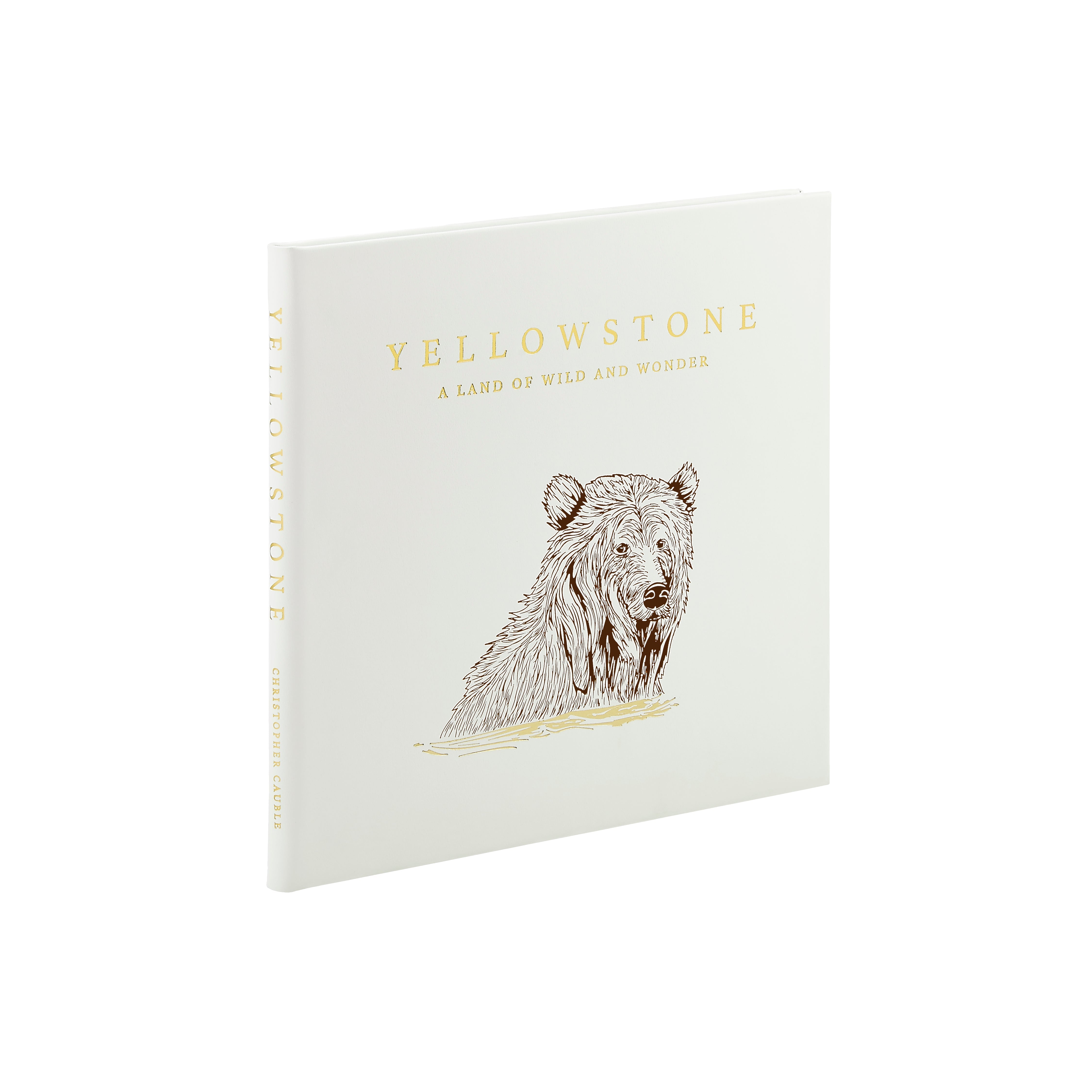 Yellowstone: A Land of Wild and Wonder – Barton Watch Bands